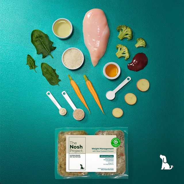 Human Grade Dog Food | The Nosh Project