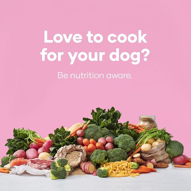 Slow Cooked Chicken Bowl for Puppies | The Nosh Project