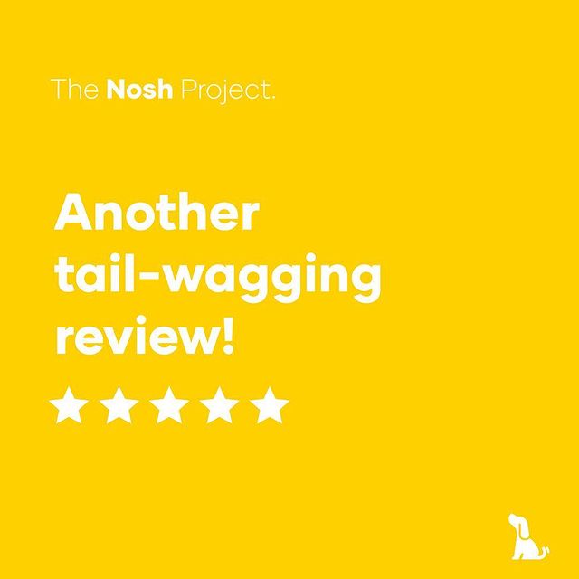 Slow Cooked Chicken Bowl for Dogs | The Nosh Project