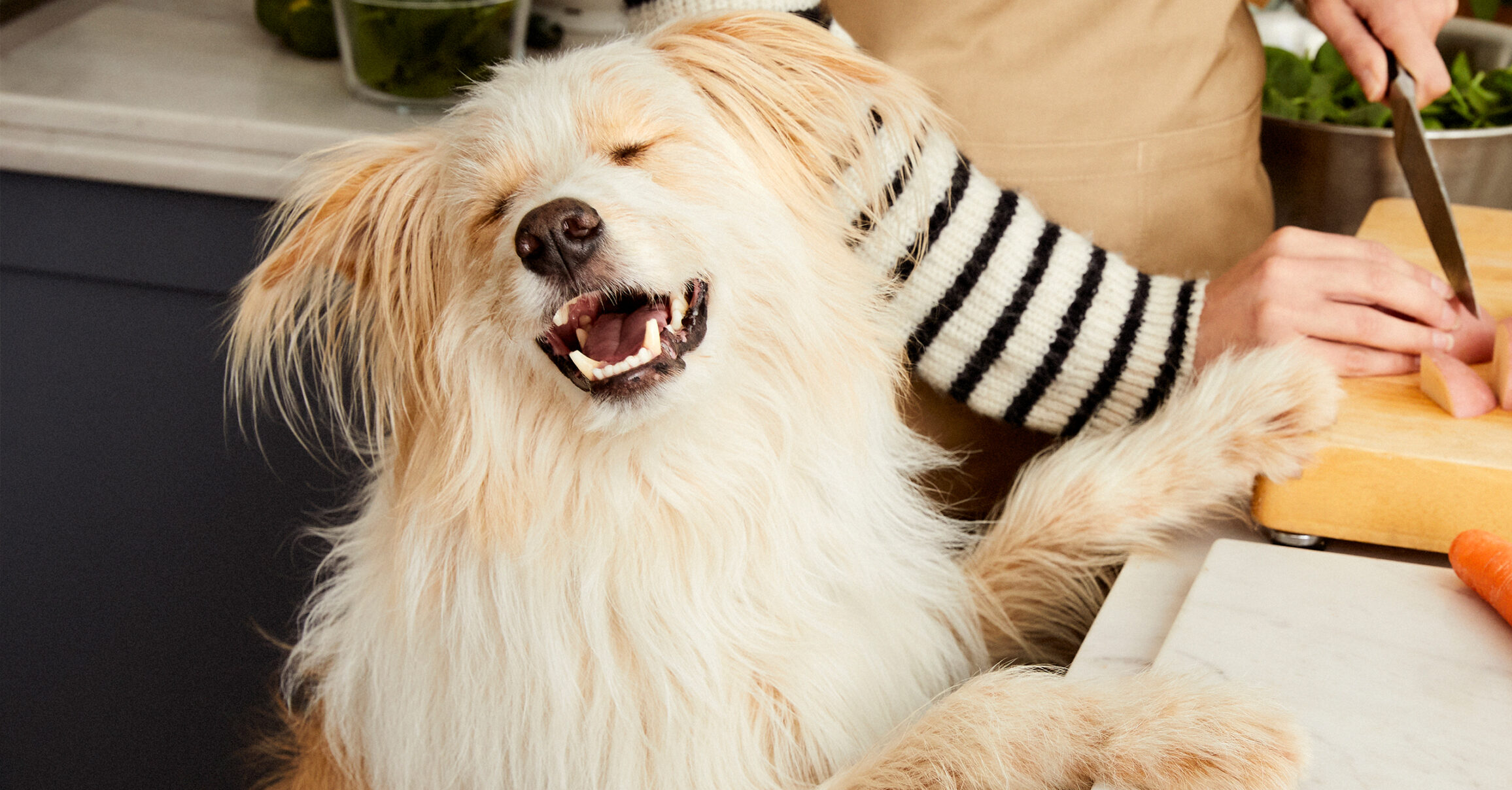 Learn | The Nosh Project