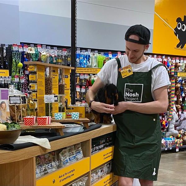 Slow Cooked Chicken Bowl for Cats | The Nosh Project