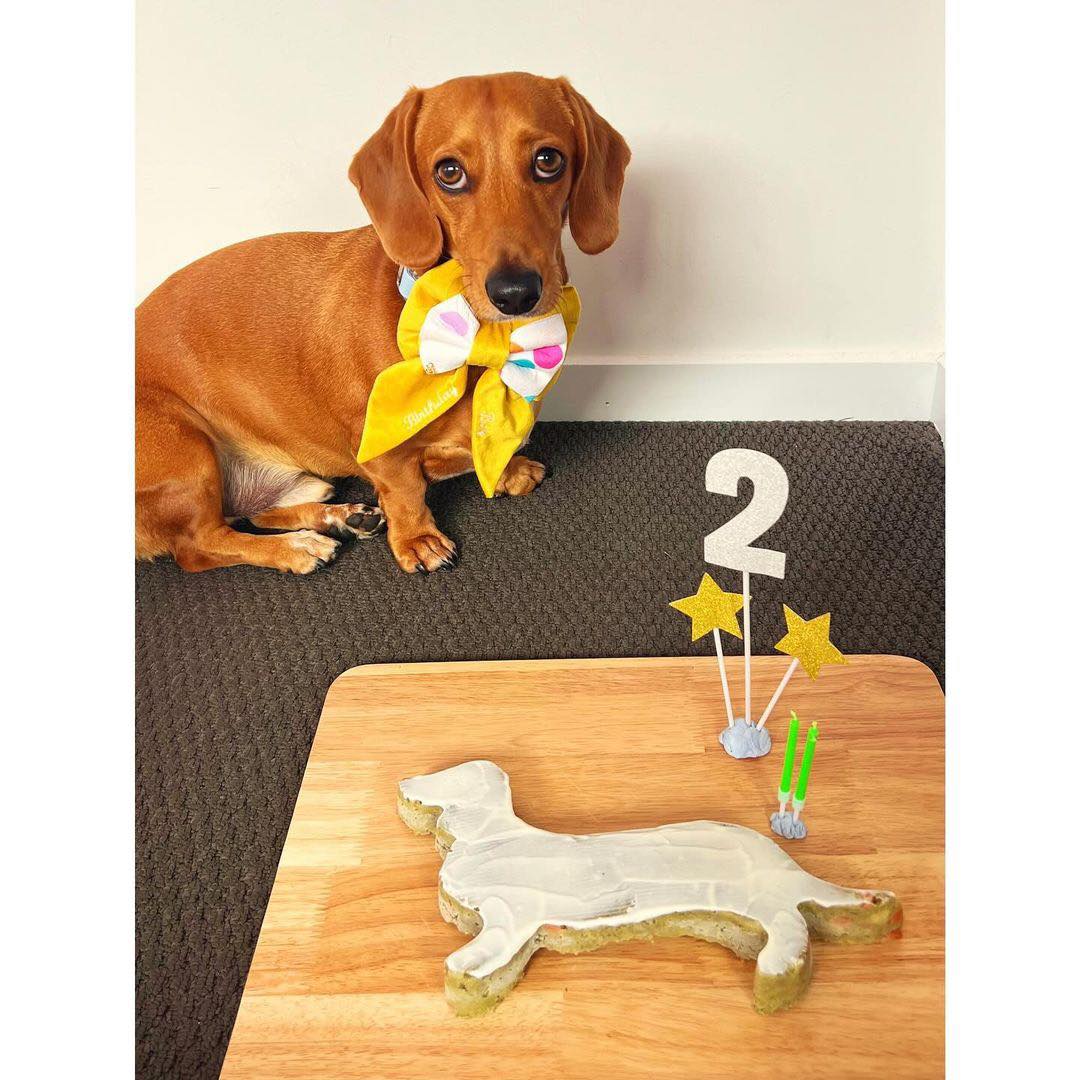 The Nosh Project | Nothing's Made Like Nosh