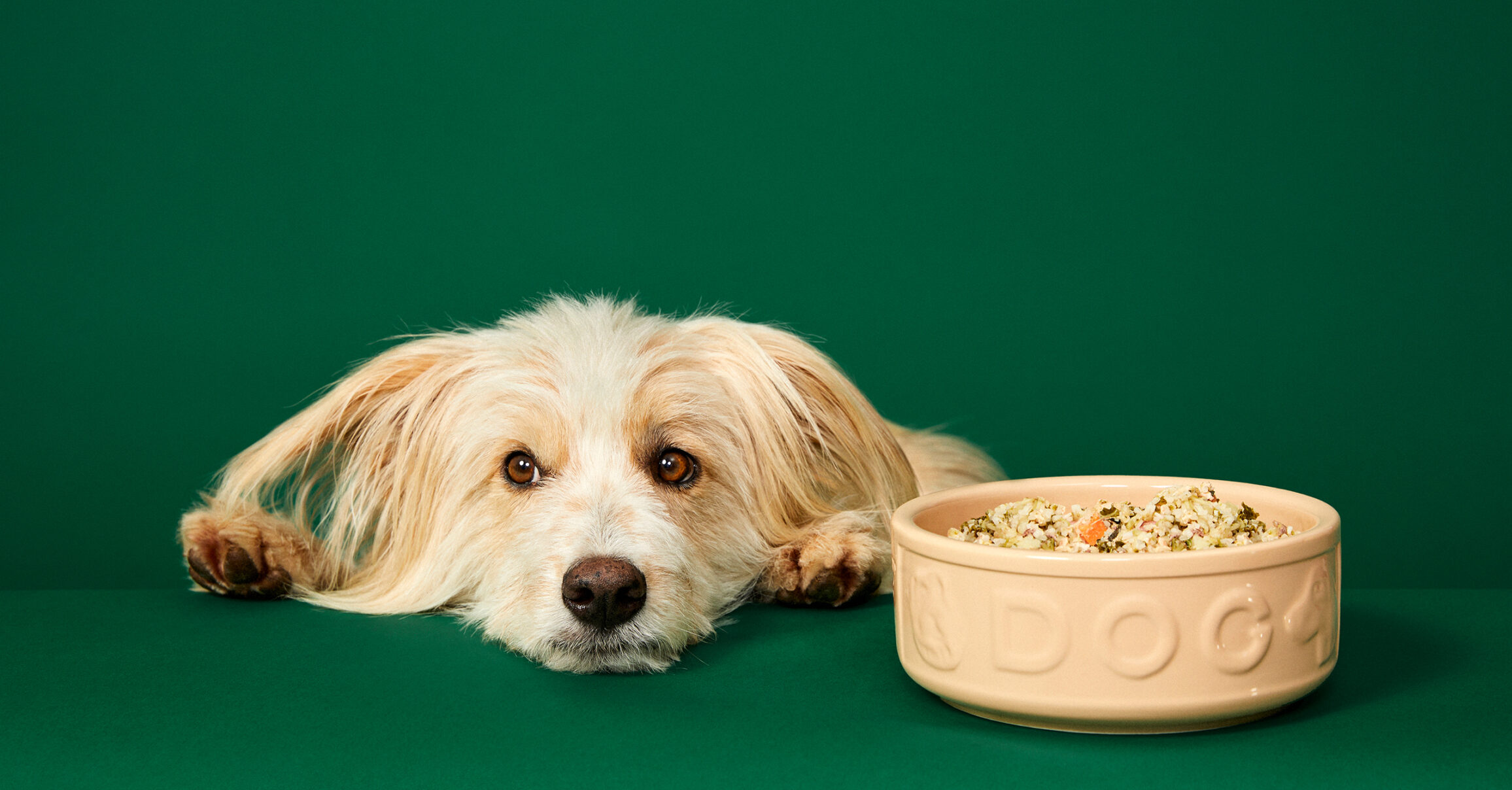 Learn | The Nosh Project