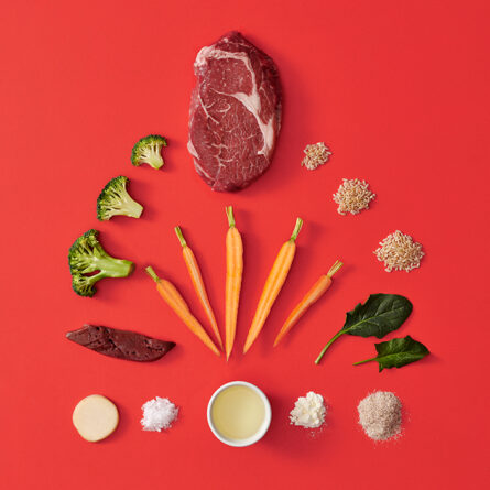 Healthy Dog Food Recipes | The Nosh Project