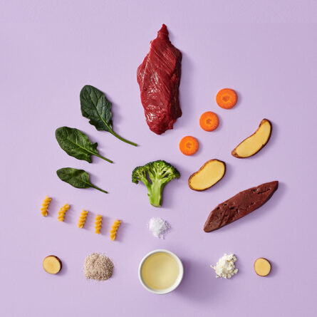 Healthy Dog Food Recipes | The Nosh Project