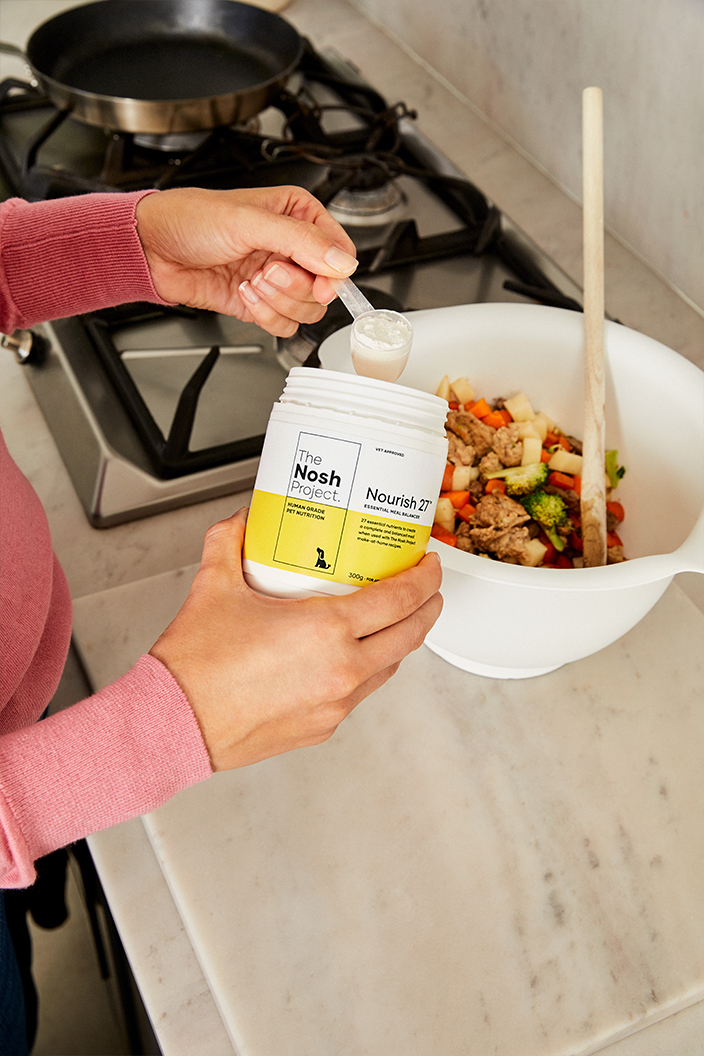 Lamb Recipe for Dogs | The Nosh Project