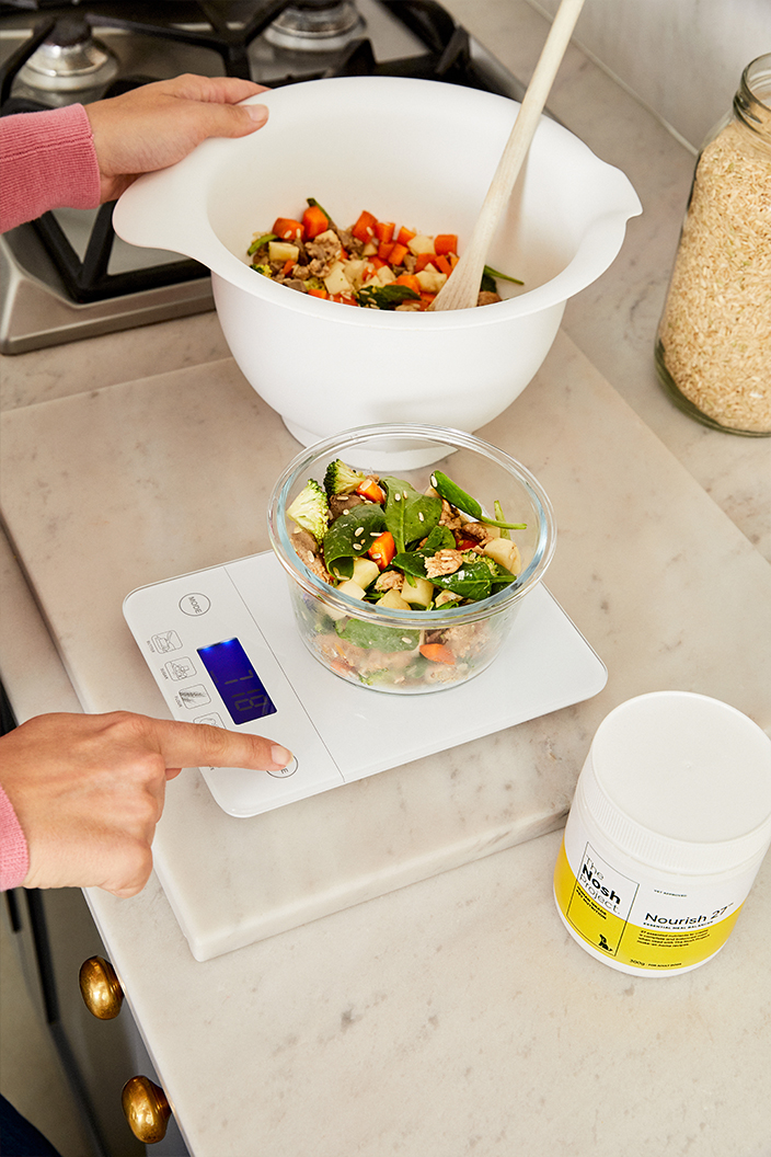 Chicken Recipe for Dogs | The Nosh Project