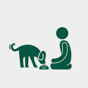 Why Nosh | The Nosh Project