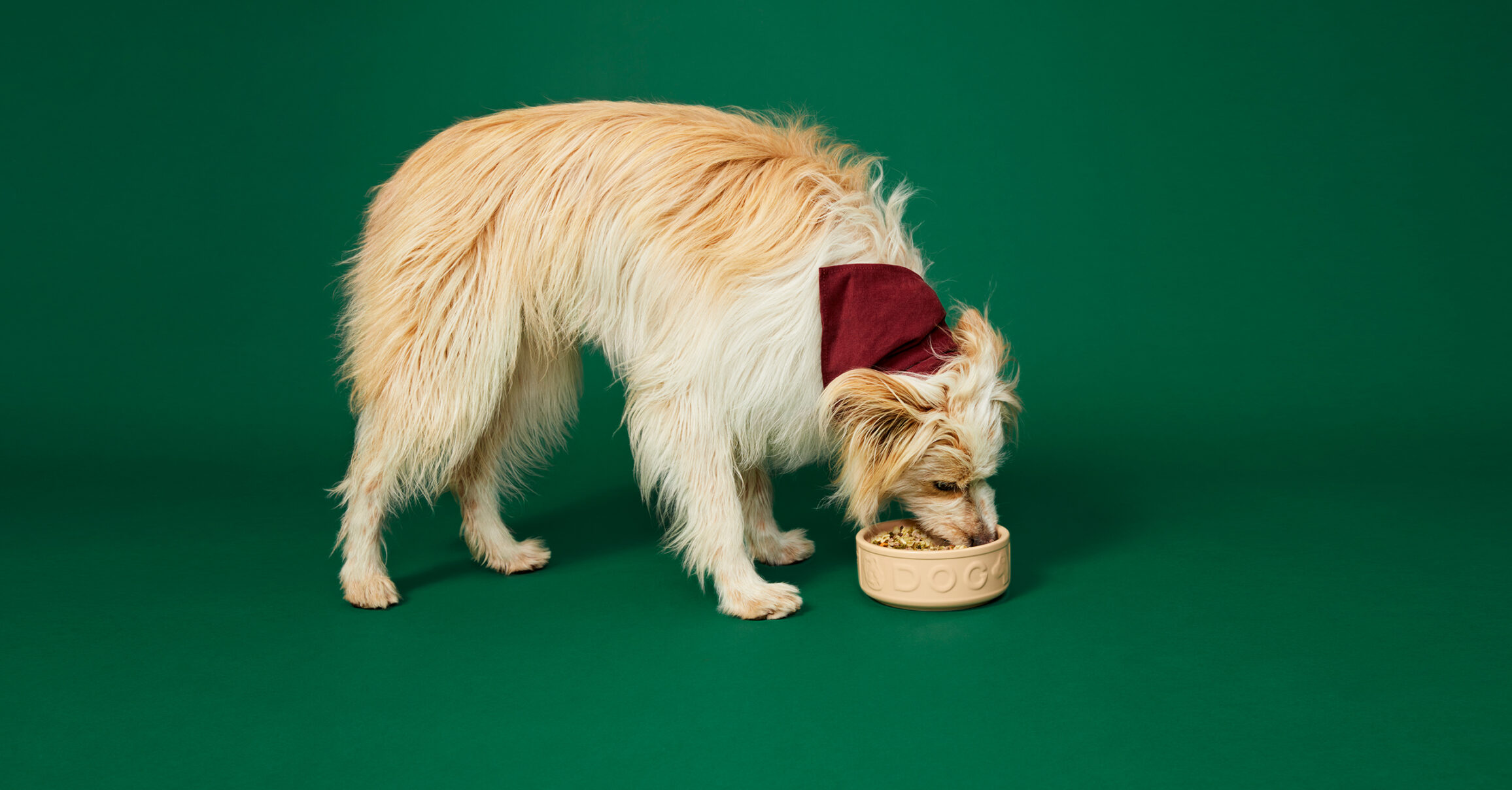 Learn | The Nosh Project