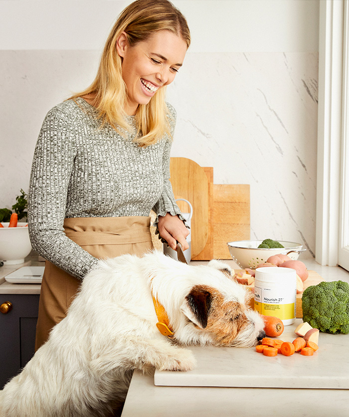 About Us | The Nosh Project