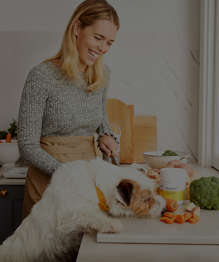 About Us | The Nosh Project