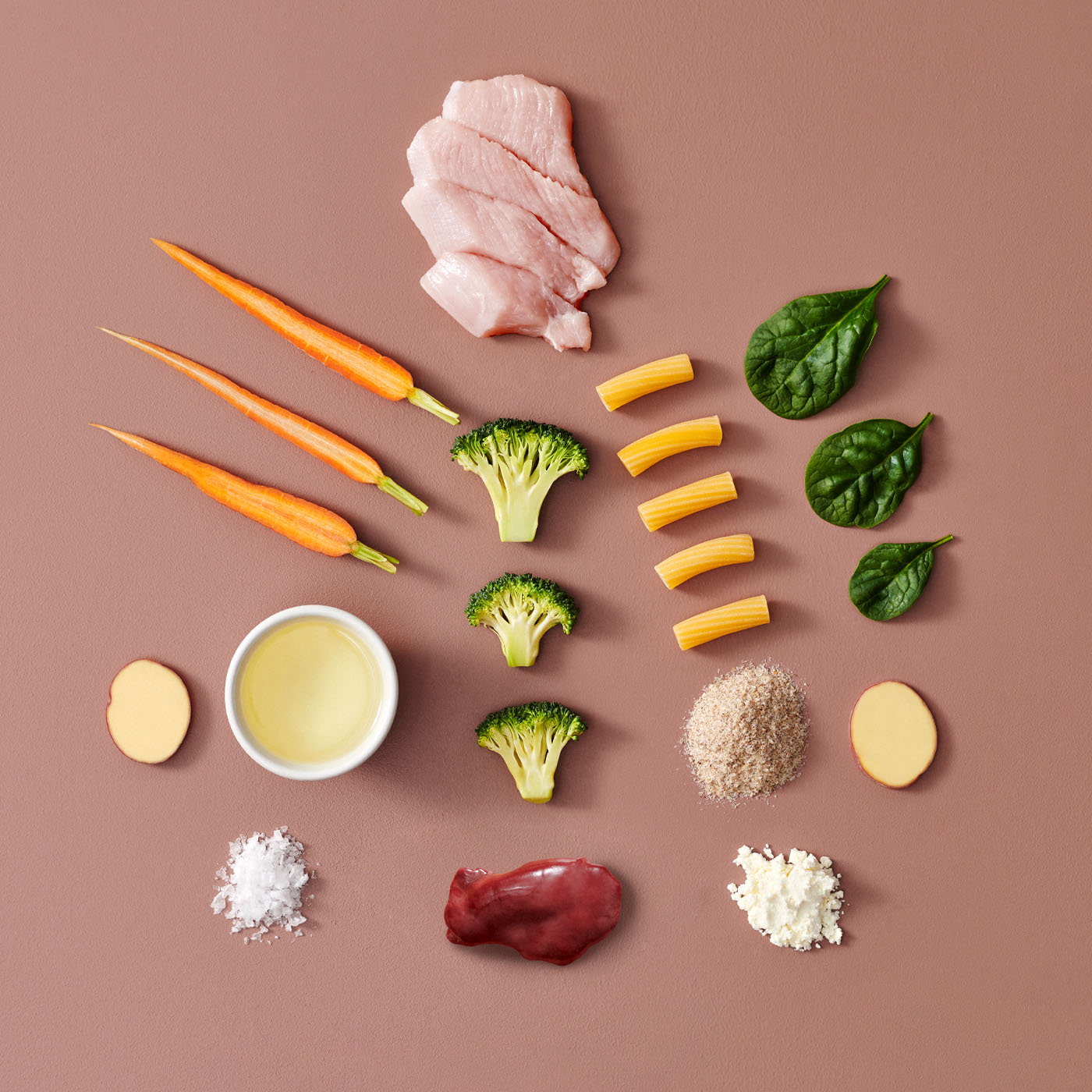 Healthy Meals for Dogs | The Nosh Project