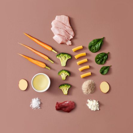 Healthy Dog Food Recipes | The Nosh Project