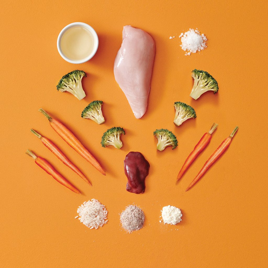 Slow Cooked Chicken Bowl for Cats | The Nosh Project