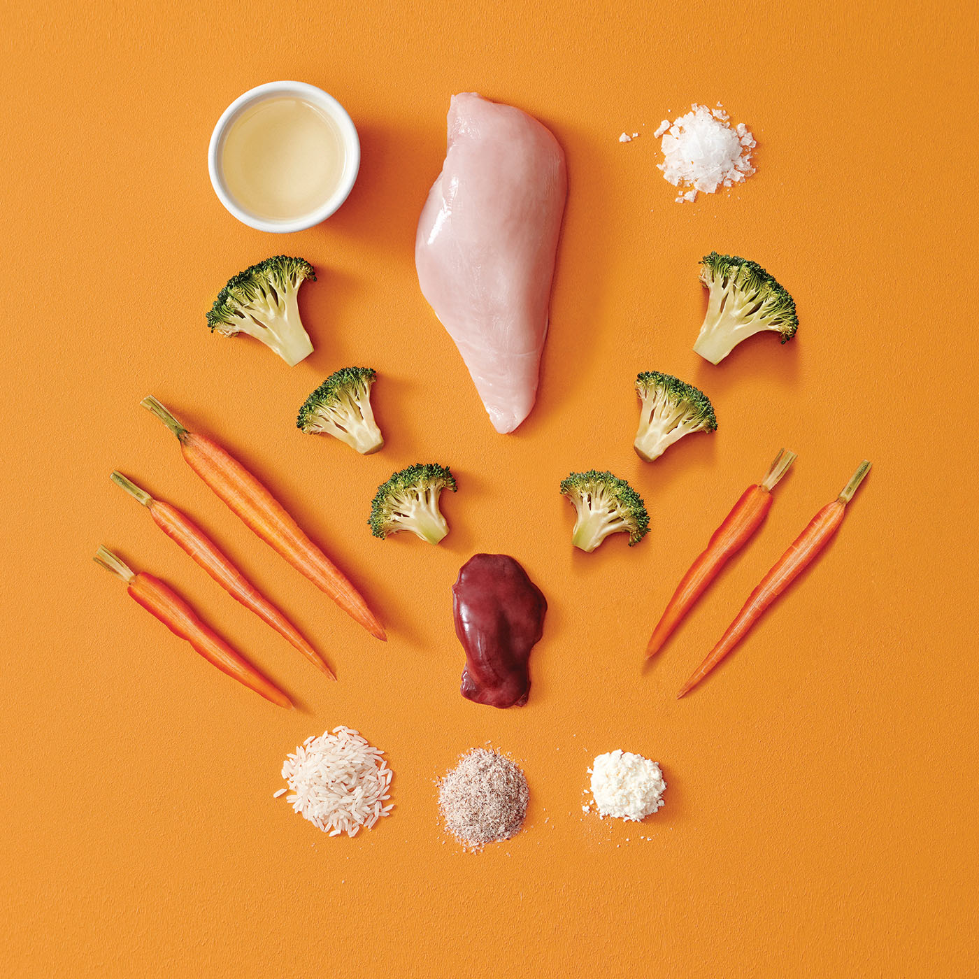 Slow Cooked Chicken Bowl for Cats | The Nosh Project