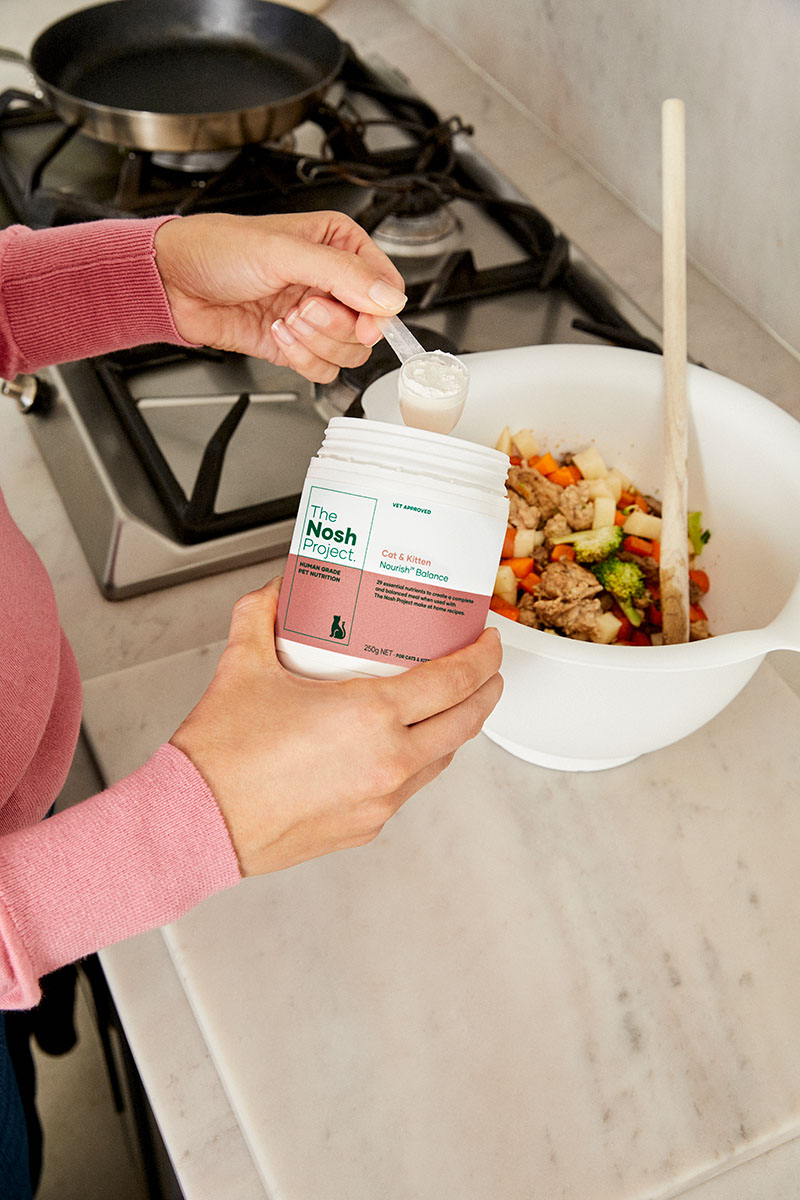 Chicken Recipe for Cats | The Nosh Project