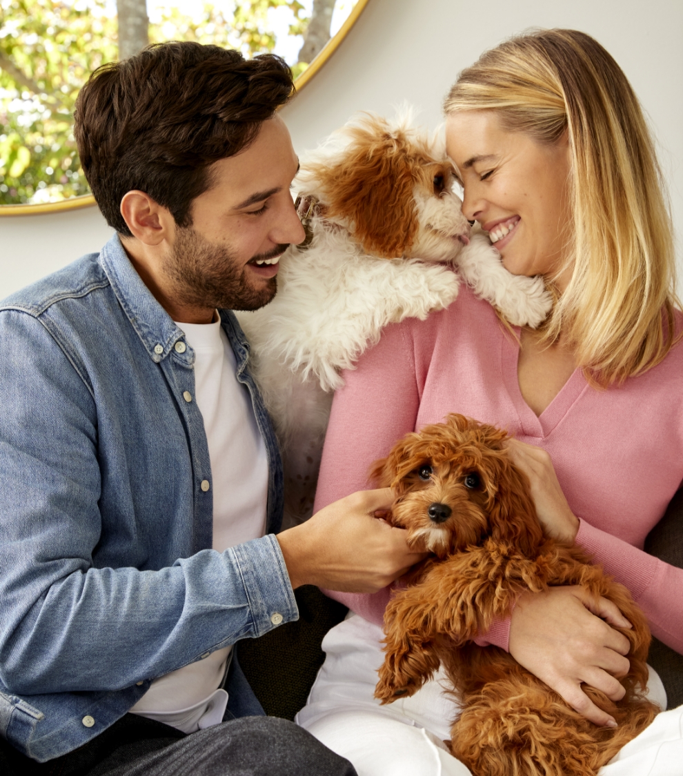 Why Nosh | The Nosh Project