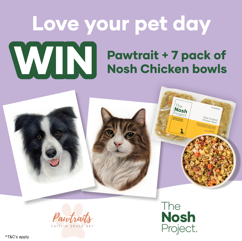 Love Your Pet Day Competition - The Nosh Project