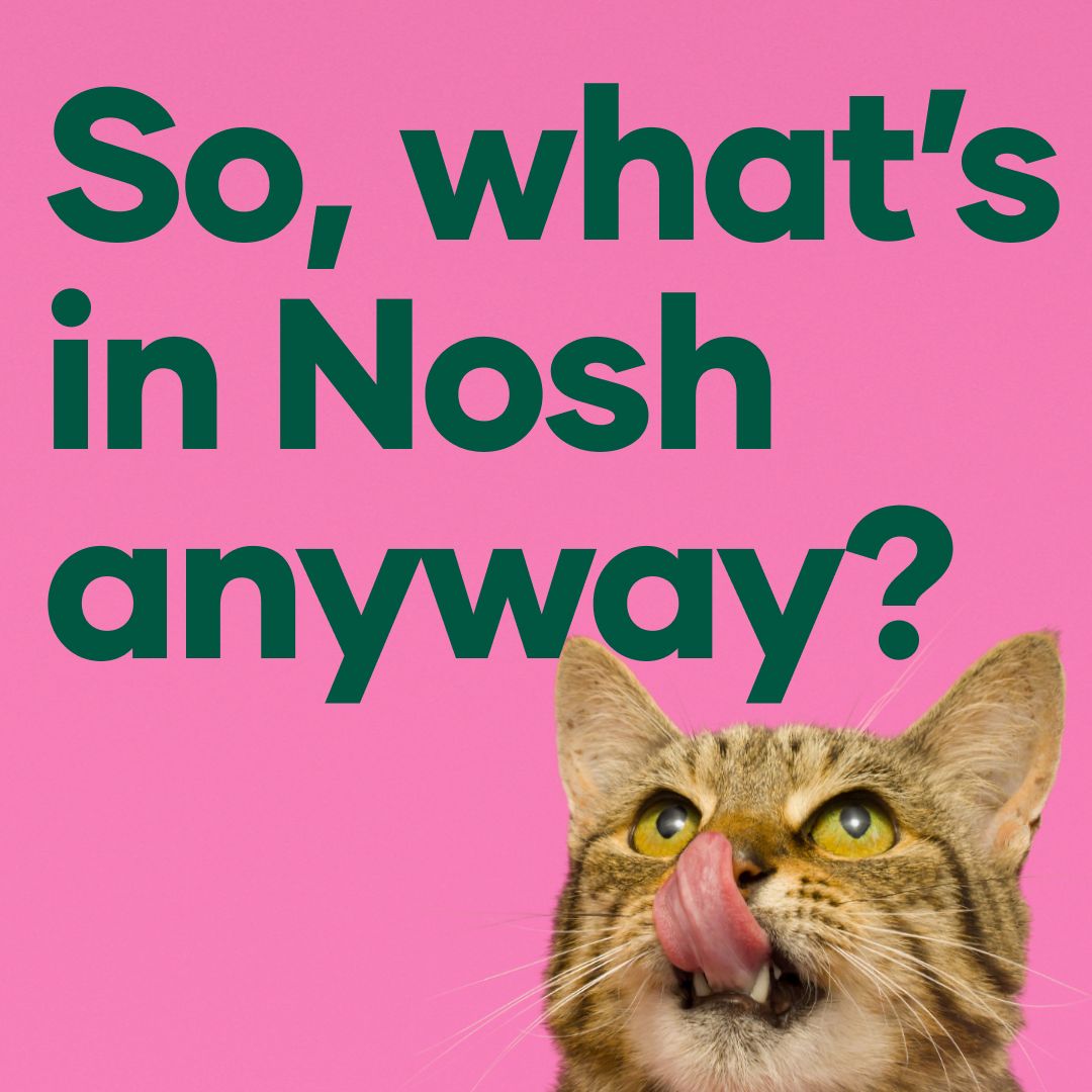 Digestive Support with Slow Cooked Chicken | The Nosh Project