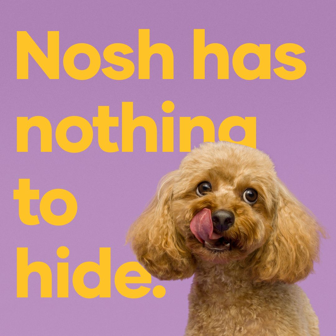 The Nosh Project | Nothing's Made Like Nosh
