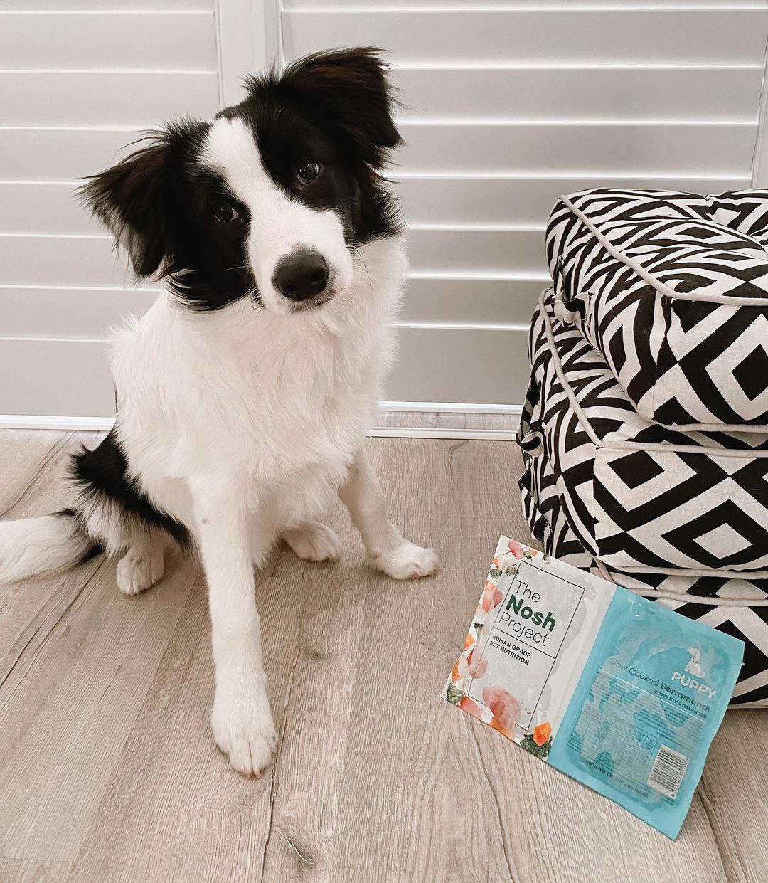 Digestive Support with Slow Cooked Chicken | The Nosh Project