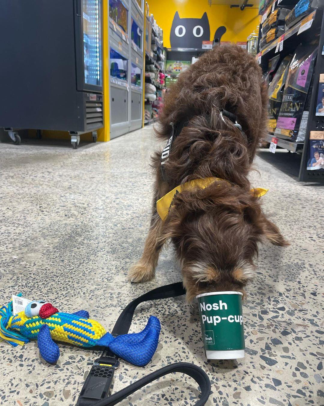 The Nosh Project | Get 50% Off Your First Box