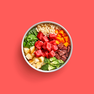 Healthy Dog Food Recipes | The Nosh Project