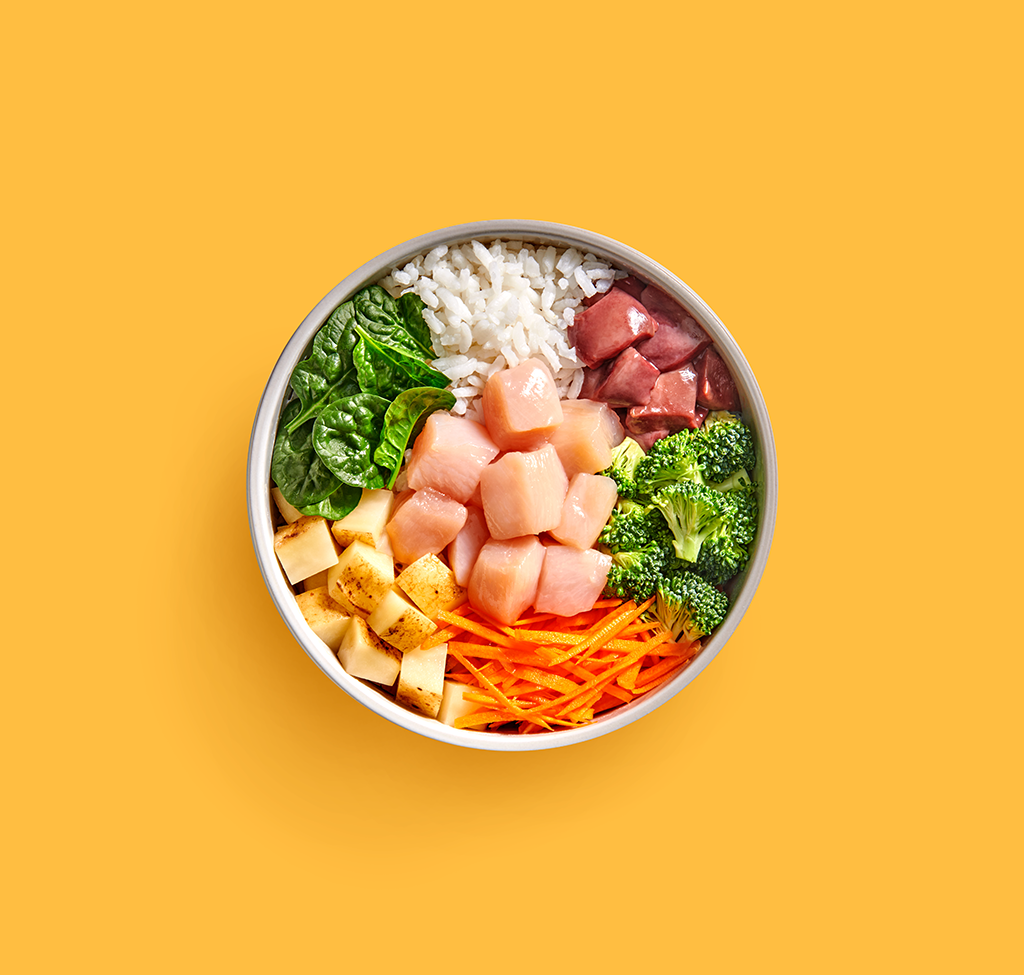Learn | The Nosh Project