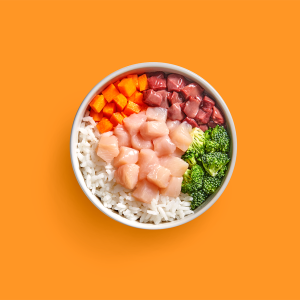 Healthy Dog Food Recipes | The Nosh Project