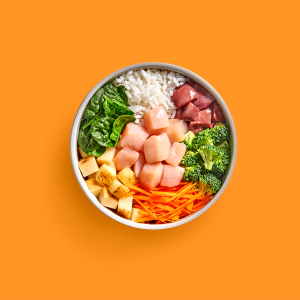 Healthy Dog Food Recipes | The Nosh Project