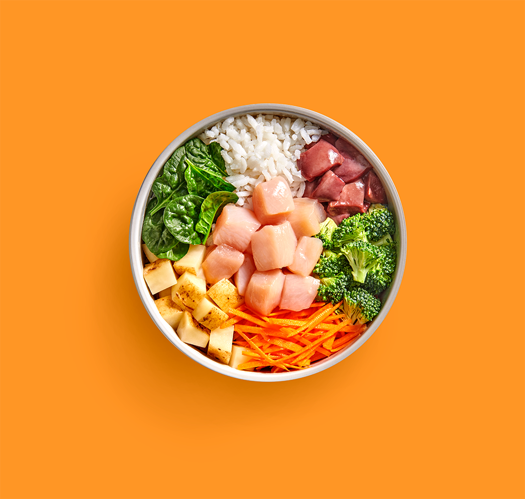 Slow Cooked Chicken for Puppies | The Nosh Project