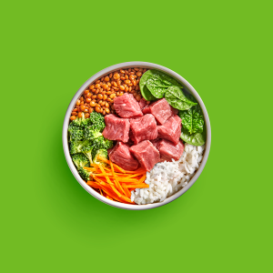 Healthy Dog Food Recipes | The Nosh Project