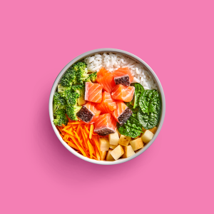 Healthy Dog Food Recipes | The Nosh Project