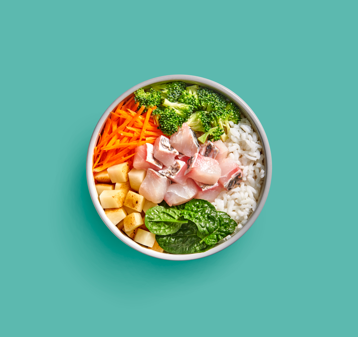 Slow Cooked Barramundi for Dogs | The Nosh Project