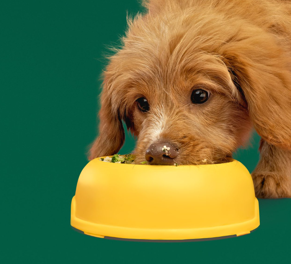 Learn | The Nosh Project