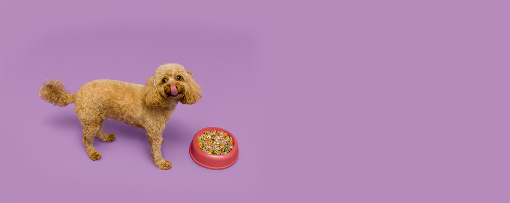 Learn | The Nosh Project