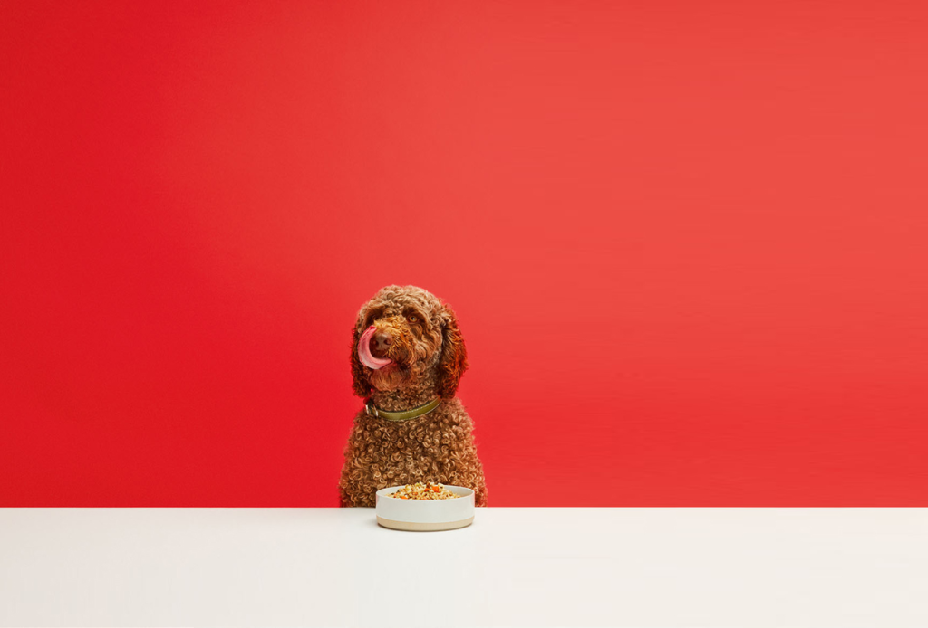 Learn | The Nosh Project