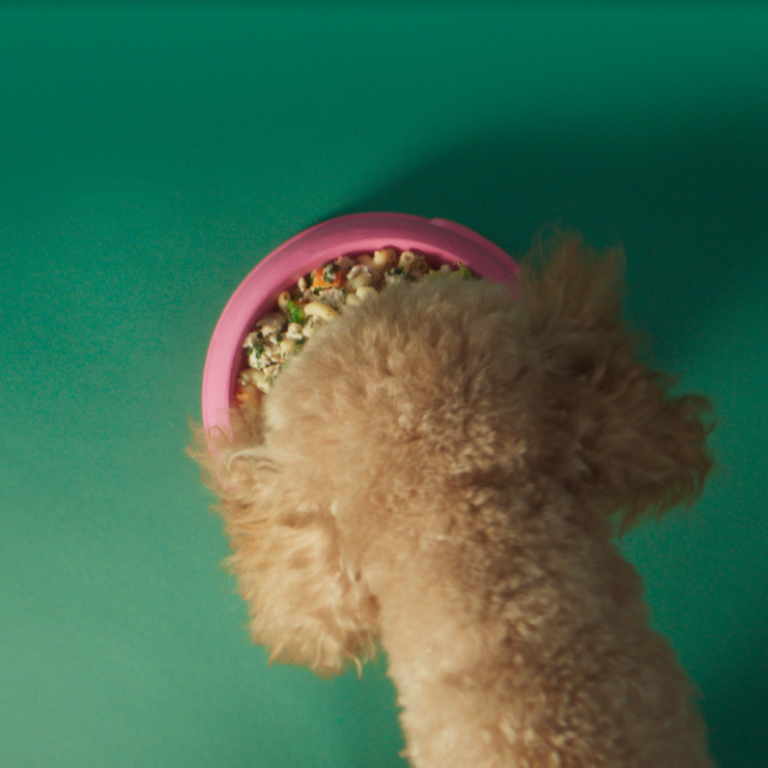 Learn | The Nosh Project